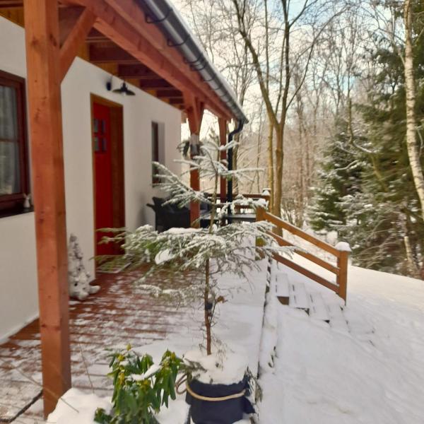 Borówkowa Dolina - Polen