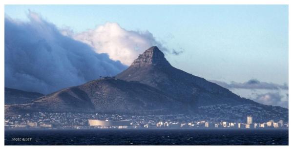 Pips Place Penthouse 501 - Somerset West