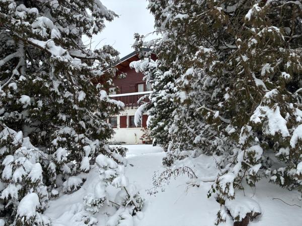 Chalet Familiale Au Centre Ville De Gerardmer - Lorraine