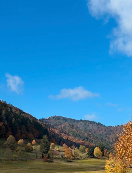 Ferienwohnung Mit Erholungbereich Im Menzenschwander Tal - Bade-Wurtemberg
