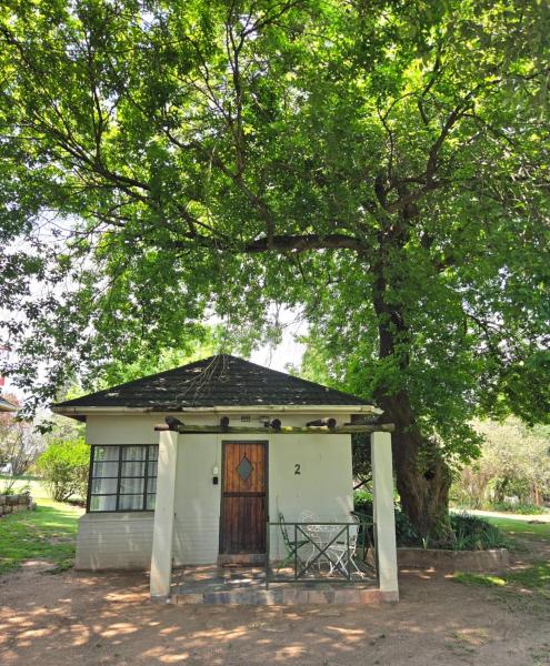 Linger At The Lake Chrissiesmeer - Chrissiesmeer