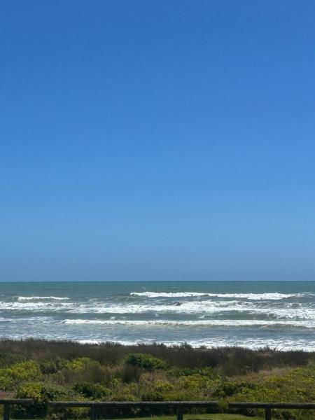 Absolute Beachfront ŌTaki Marine Parade- Rangiuru Sun - Ōtaki Beach