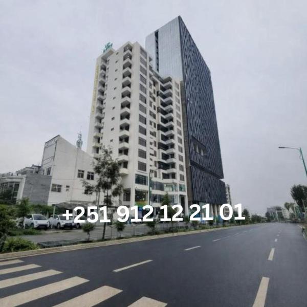 Luxury 4 Bed Room Apartment - Addis Ababa