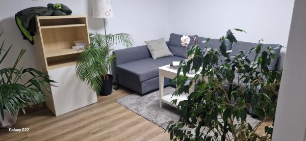 Charmantes Und Neu Renoviertes Apartment In Der Nähe Des Flughafens - Schwechat