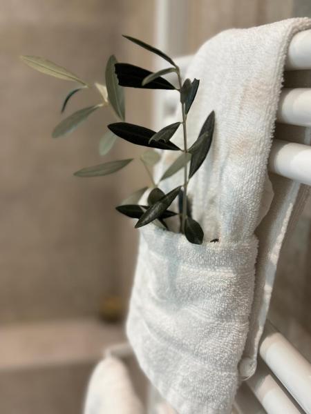 Le Moulin De L Oliveraie - Sospel