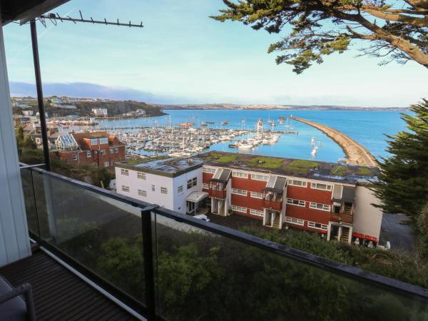 Snowy Owl View At The Breakwater - Dartmouth