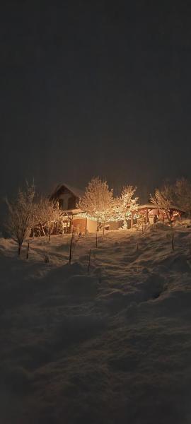 Cuibul Cu Trufe - Transylvania