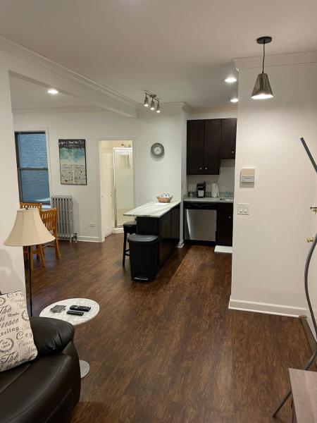 Updated 1 Bedroom In The Best Location! - Chicago