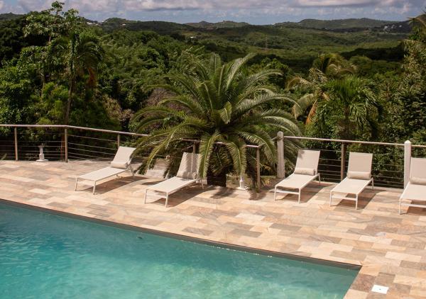 Villa Caryota, Panorama Montagnes & Piscine 9m - Martinique
