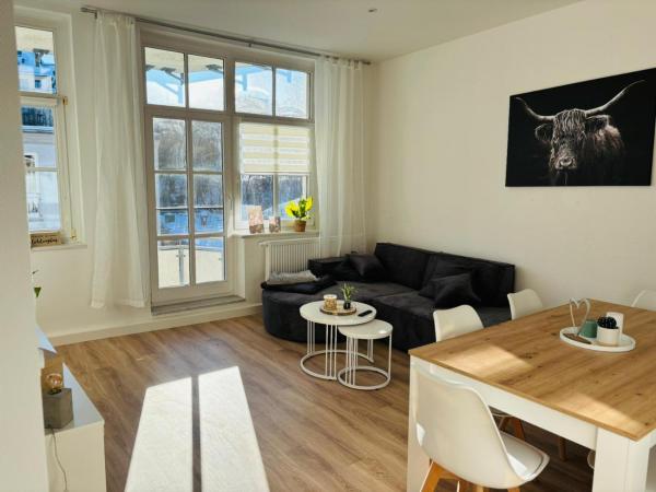 Entzückende Ferienwohnung Im Zentrum Von Plauen - Plauen