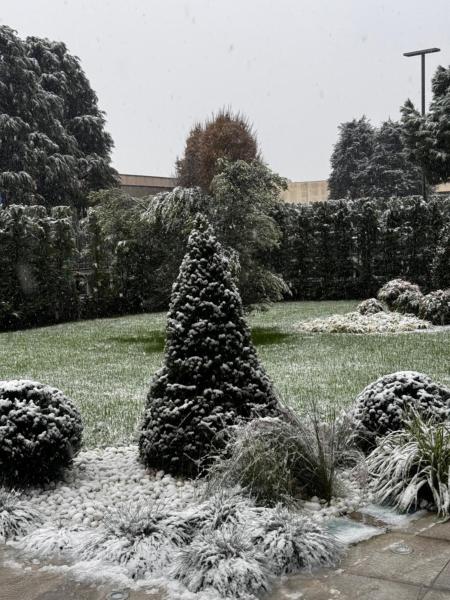 Royal Company Rooms - Orio al Serio