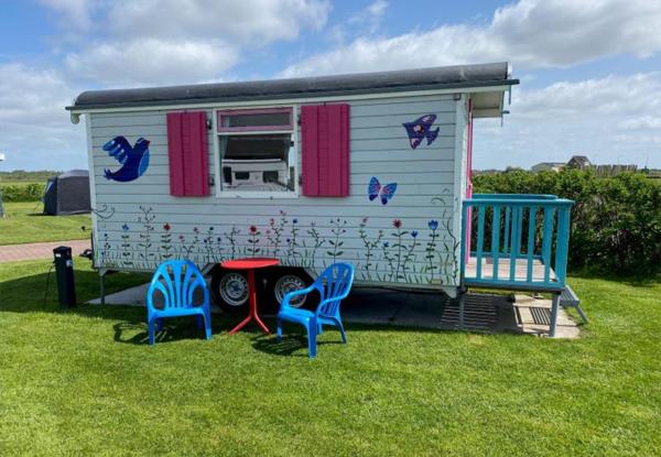 Boerencamping Duinzoomhoeve - Pipowagen - Den Helder