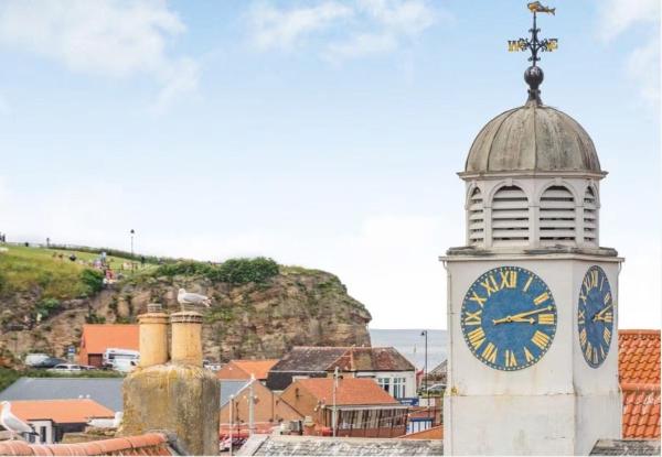 Glasswing Stays The Nest - Whitby