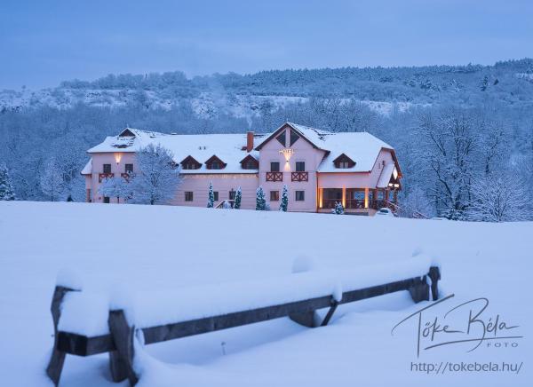 Borhotel Sziluett Farkasmály - Hungary