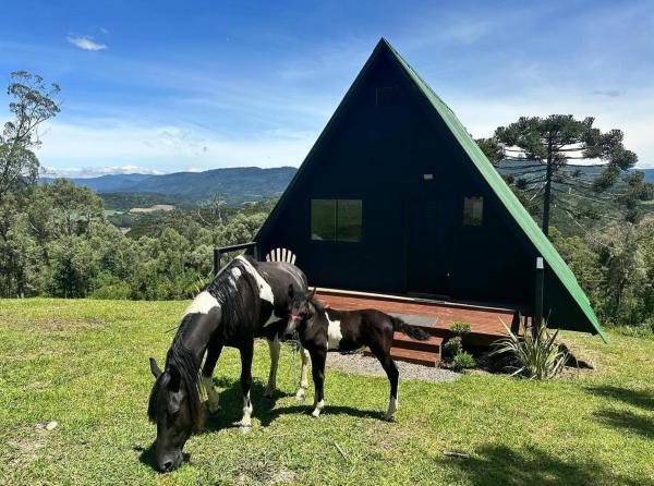 Chalé Da ÁRvore - Urubici