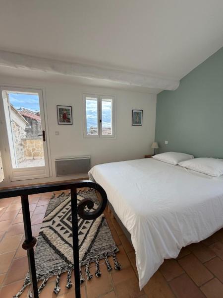 Field Mouse - Salon-de-Provence