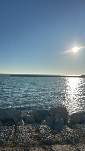 Bellevue - Saintes-Maries-de-la-Mer