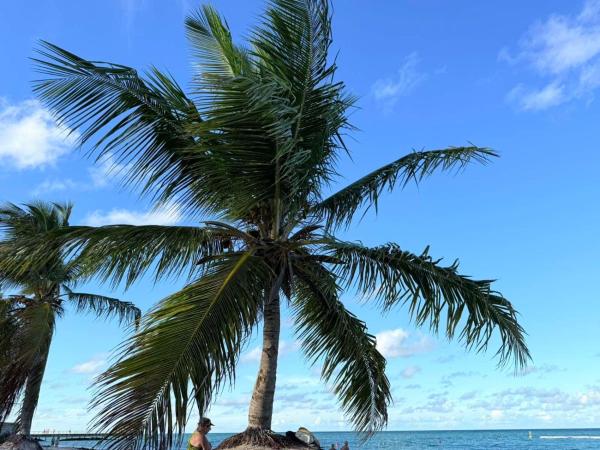 Alexger Beachfront Apartament Bavaro, Punta Cana - Punta Cana