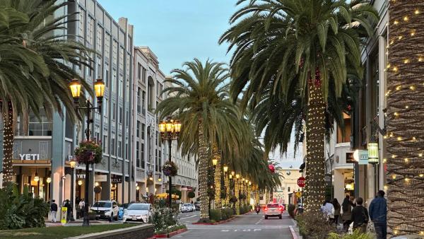 Santana Row Garden Retreat Private Executive Residence With Koi Pond And Waterfall Walk To Santana Row Valley Fair Dining And Shopping Private Entrance - Santa Clara, CA