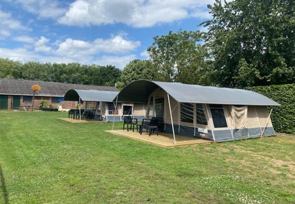 Minicamping De Lindenhoeve - Lodge Tent Hondje - Oss