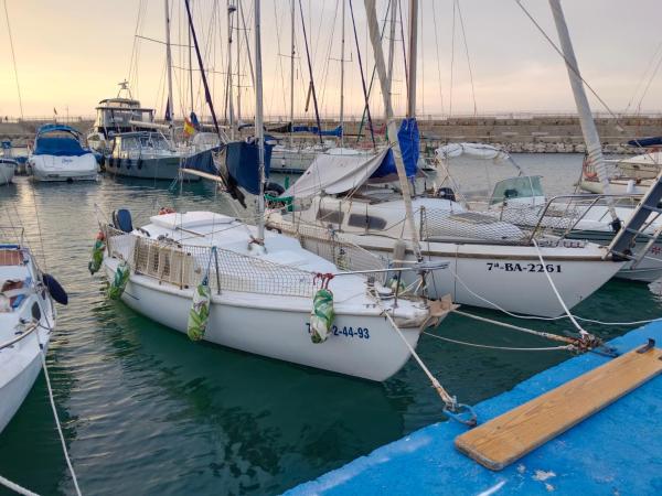 Jack Sparrow - Daimuz