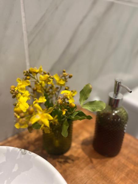 Casa Verde - Brazilië