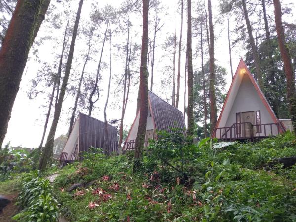 The Nest Park - Trawas