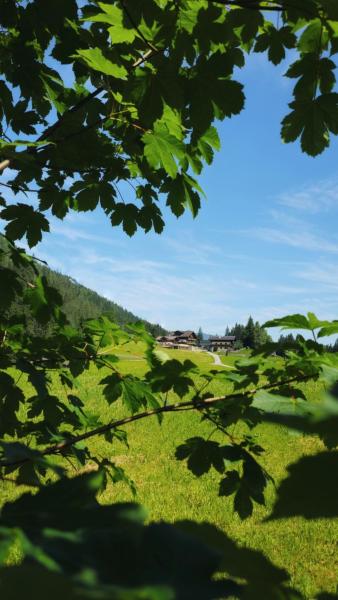 Appartement Hinterrohrgut - Zauchensee