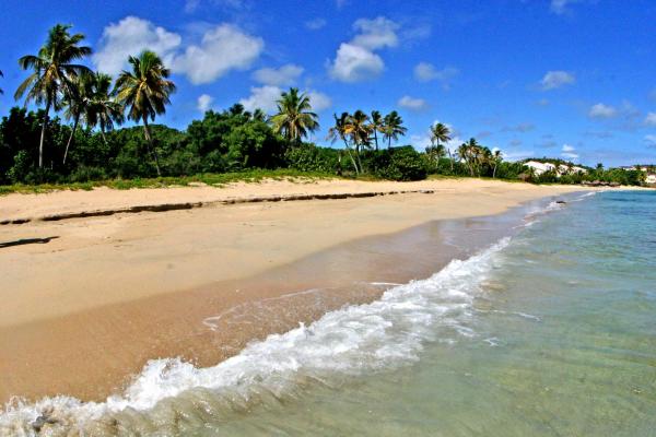 Yepton Estate Cottages - Antigua and Barbuda