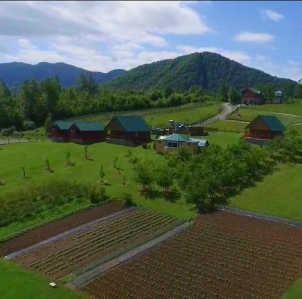 Eco Village & Resort Coric Delux Bungalow - Montenegro