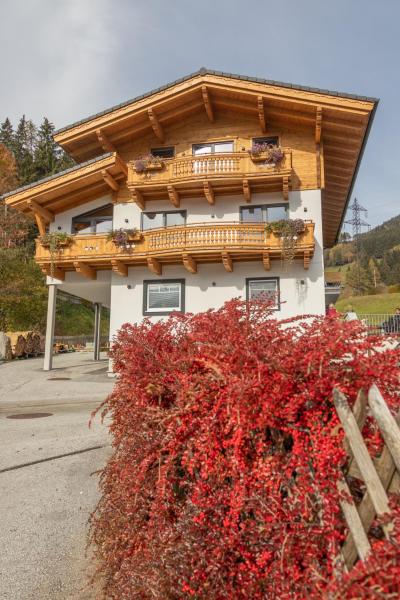 Appartement Aichner - Mittersill