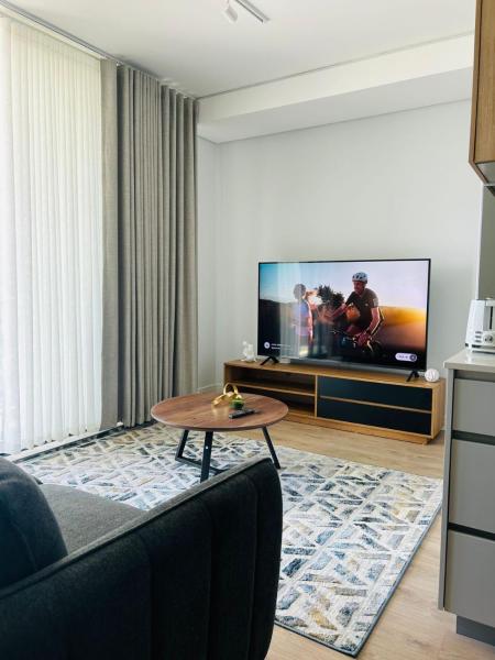 One Palm At Ellipse Waterfall - Midrand