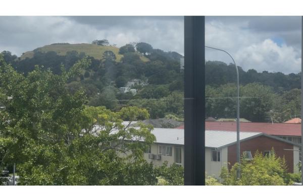 Central Epsom Modern Suite - Auckland