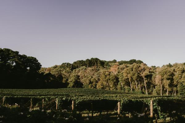 Mantons Creek Estate - Phillip Island
