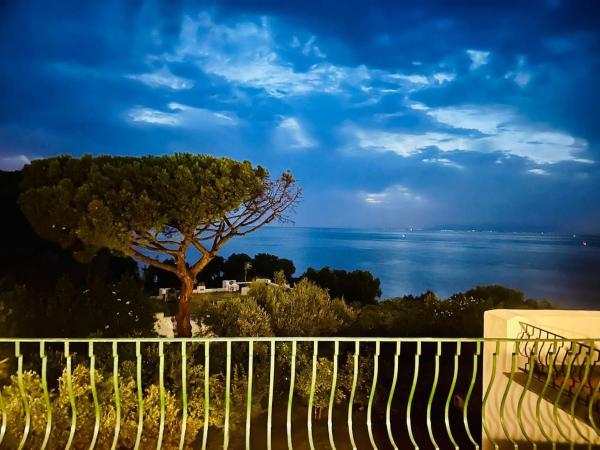 Bouganville - Ischia