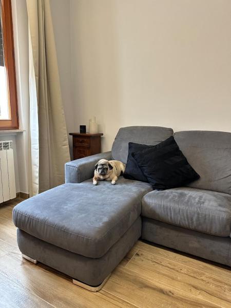 Apartment Near The Historic Center And The Hospital - Piacenza
