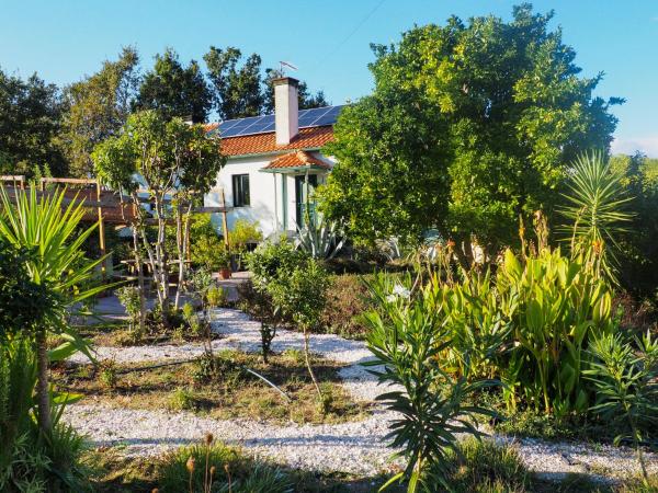 Quinta Sarnadela - Private Rooms With Shared Kitchen - Travancinha