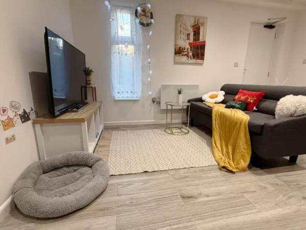 Stylish Apartment Near The Park - Nottingham