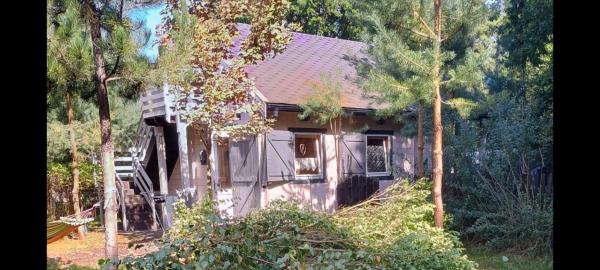 Dom Pod Lasem Koło Pobierowa - Pobierowo