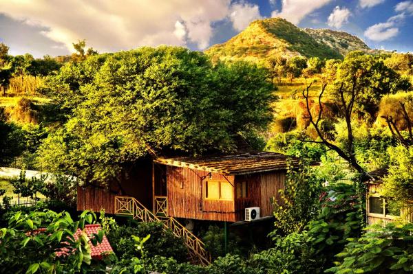 The Tree House Resort - Jaipur