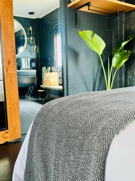 Kloof Blackwood Cottage Modern Studio - Kloof