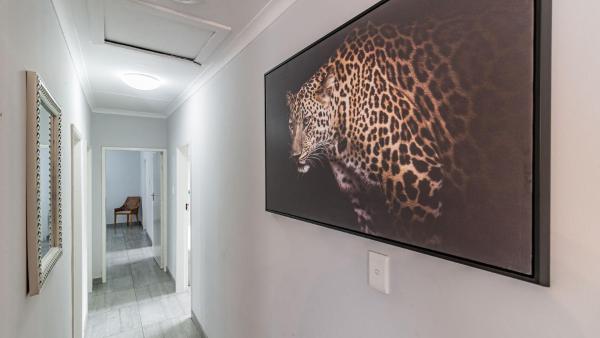 Cottage Protea - Centurion