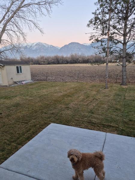 New House & Furniture, Calm Neighborhood - Provo, UT