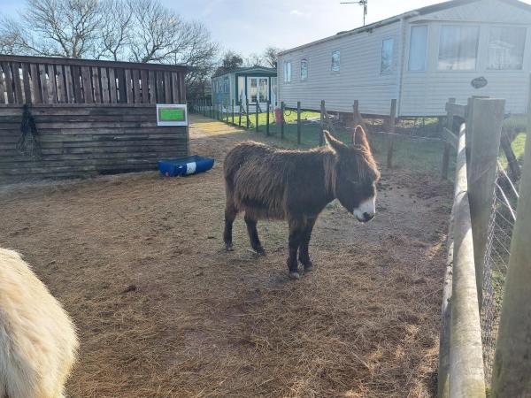 Gateway To Cornwall - St Austell