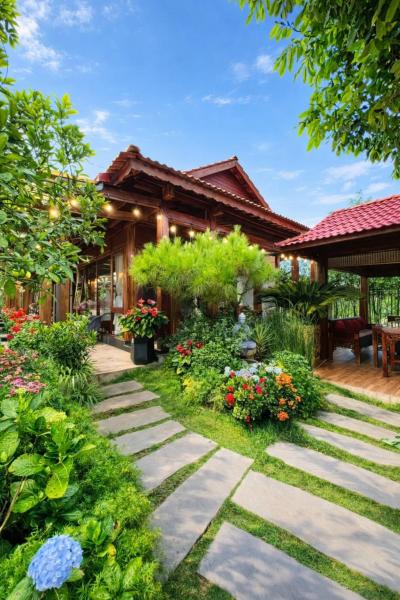 Vườn Trà Homestay Măng ĐEn - Quang Ngai
