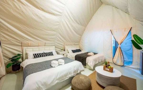 Kingdom Glamping - Pattaya
