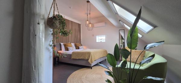 B&b Grolloo - Drenthe