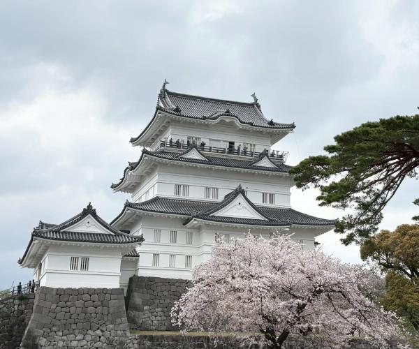 梅の宿Umenoya 小田原城5分 箱根湯本バス15分 東海道の古民家100平米 Pc1 - Odawara