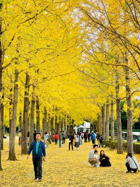 Alo Bnb 15 - Near Tabata, Ikebukuro, Shinjuku, Ueno - Akihabara