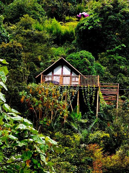 Hotel Descubre Tu Regalo - La Vega